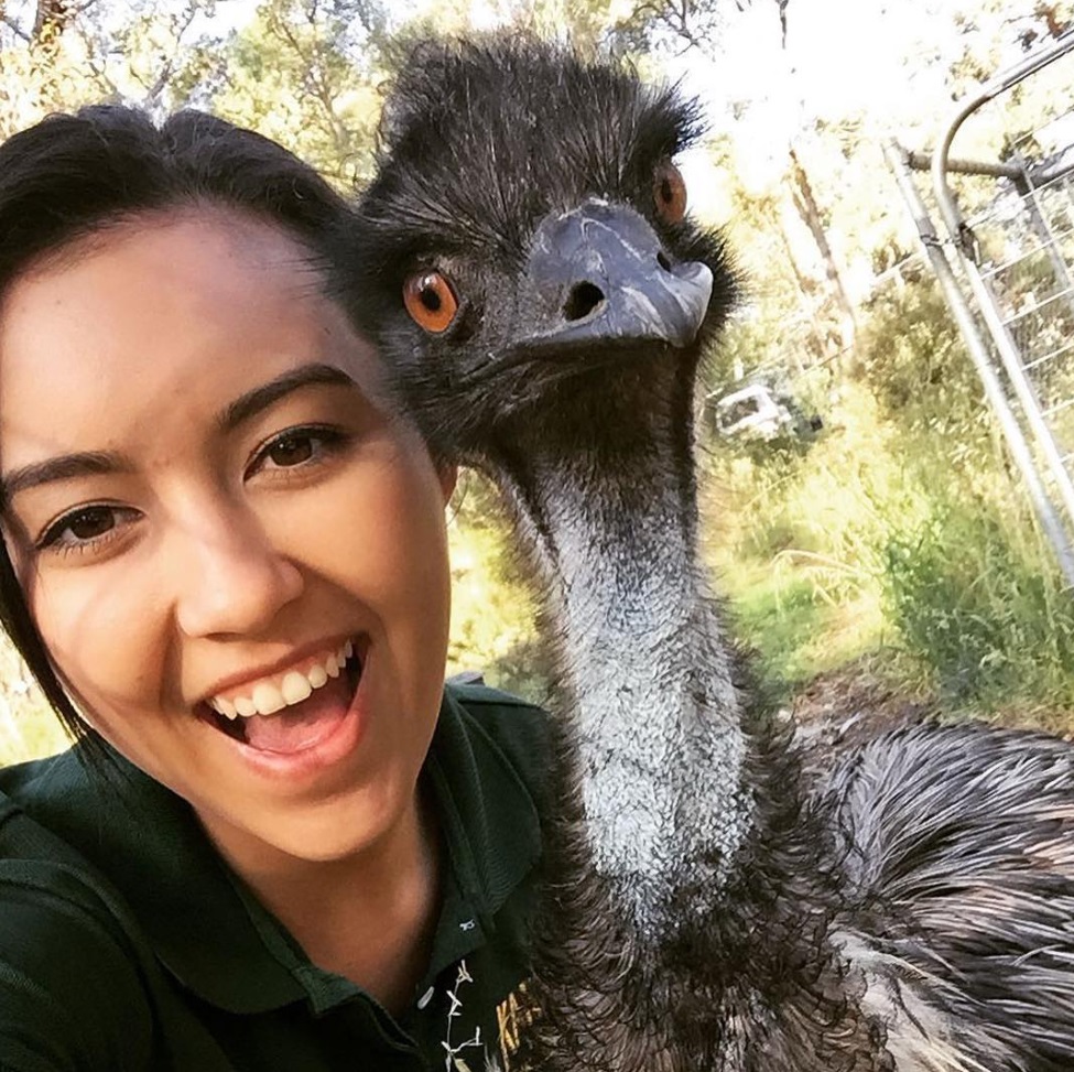 Emu | Kanyana Wildlife Centre
