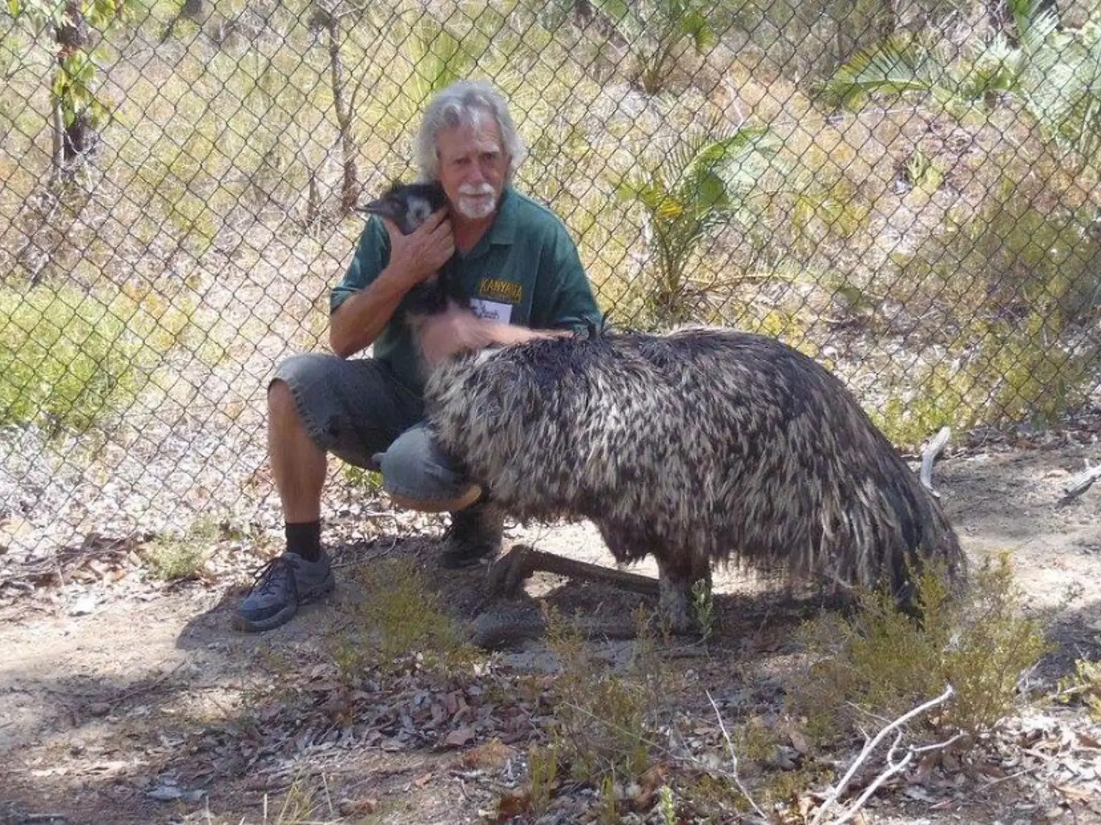 Emu | Kanyana Wildlife Centre