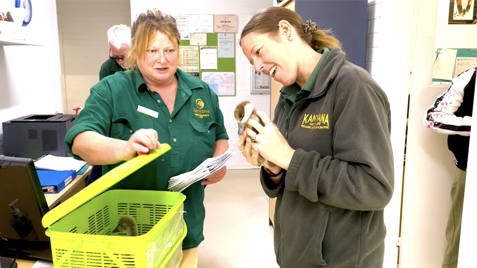 Our History | Kanyana Wildlife Centre